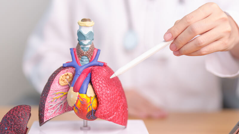 Whats The Difference Between Copd And Emphysema Southwest Healthcare